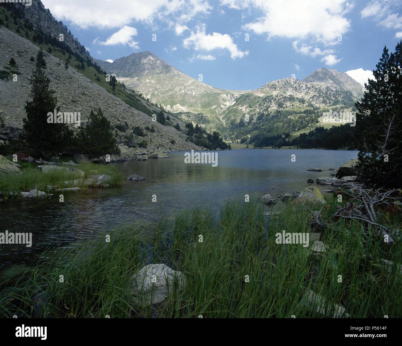 CATALUÑA. "ESTANY LLONG" (LAGO LLONG). Panorámica de las aguas del lago ...