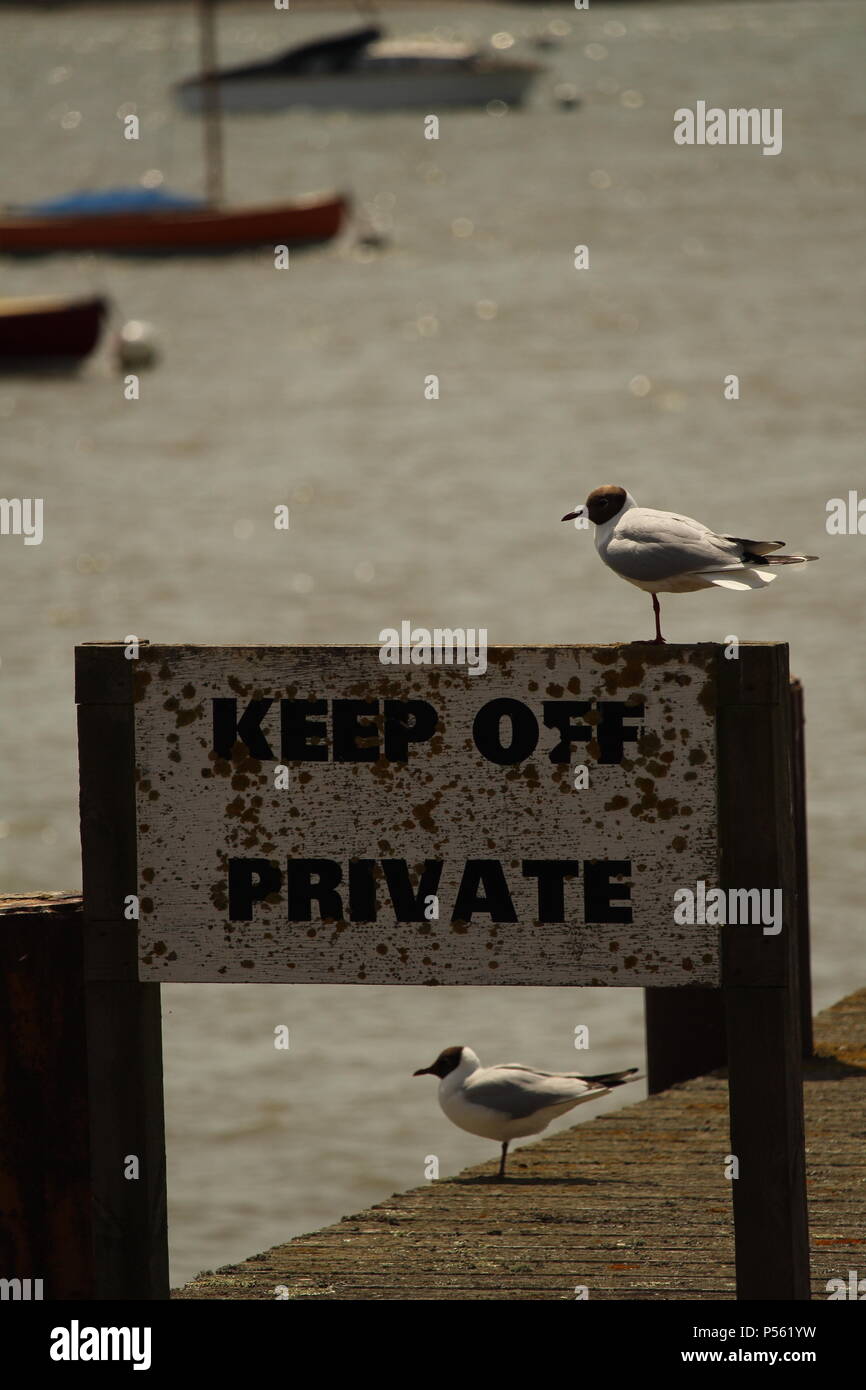 Keep off the jetty hi-res stock photography and images - Alamy
