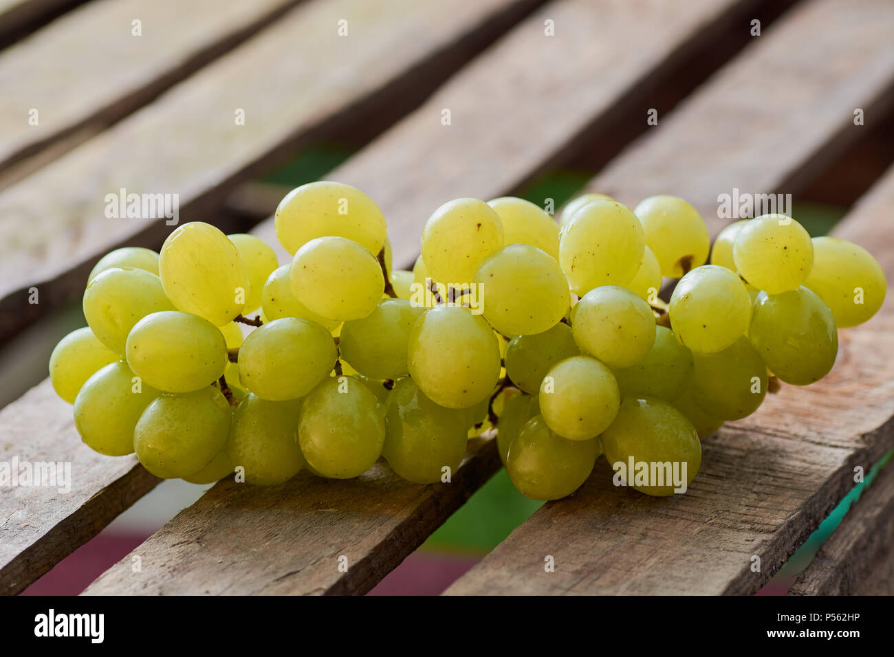 grapes on a light background in summer ripe juicy Stock Photo - Alamy