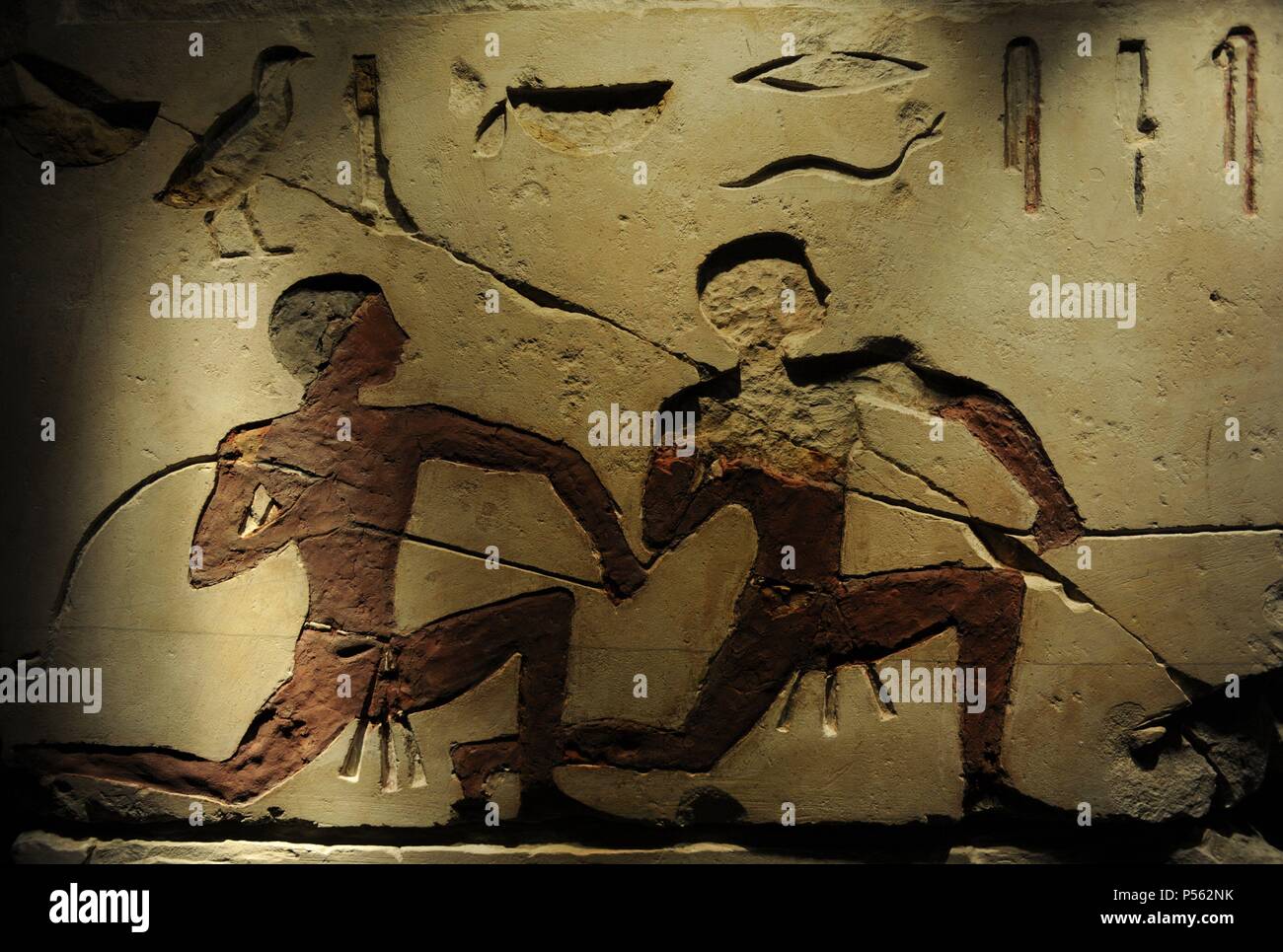 Egyptian hunting birds hi-res stock photography and images - Alamy