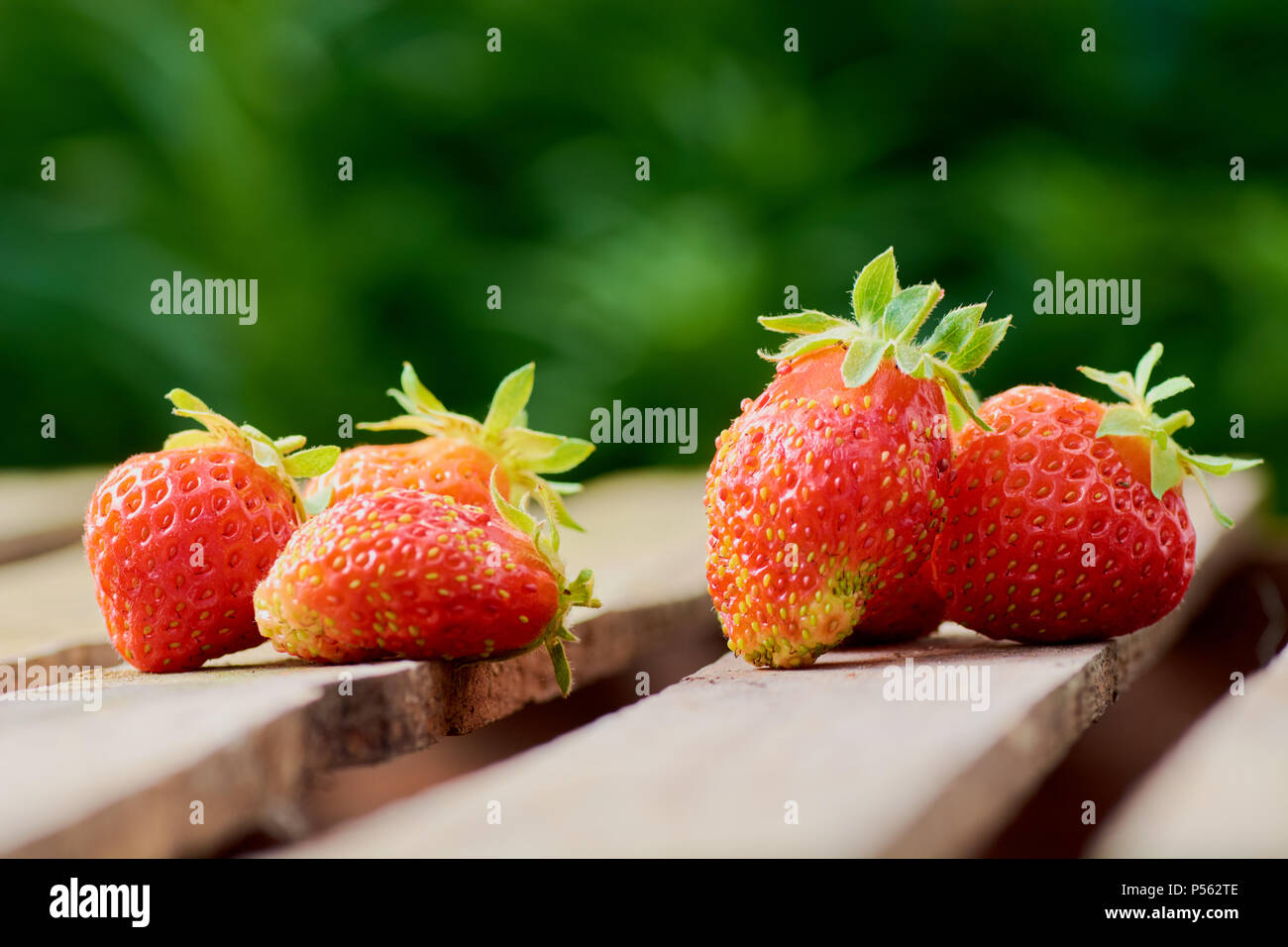 strawberry on a light background in summer ripe juicy Stock Photo - Alamy