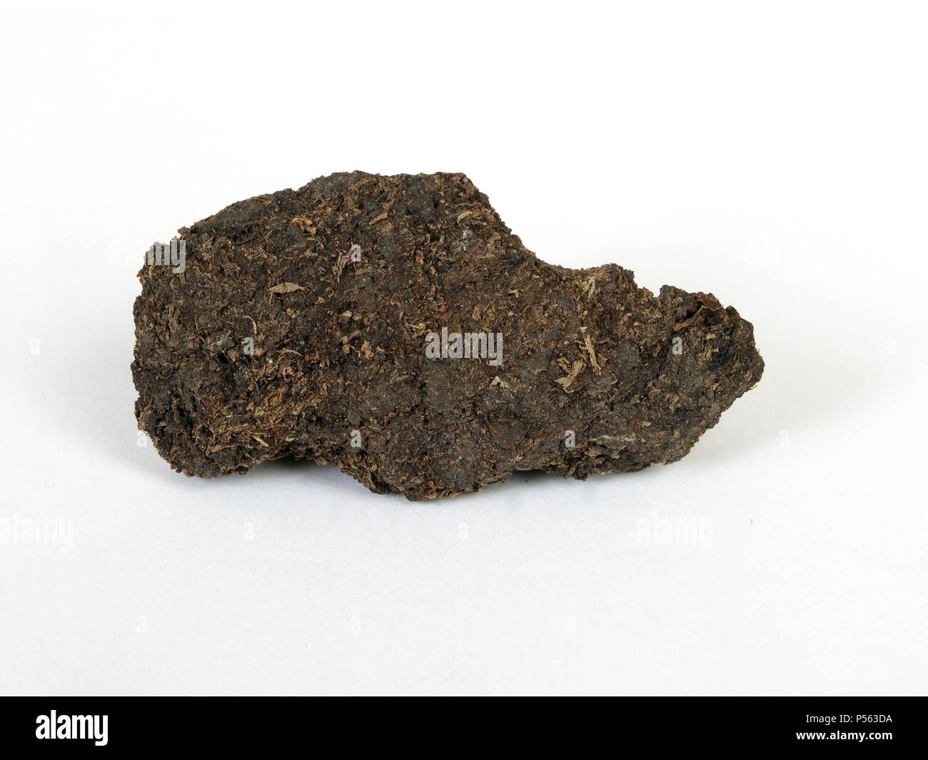 Proceso de paso hi-res stock photography and images - Alamy