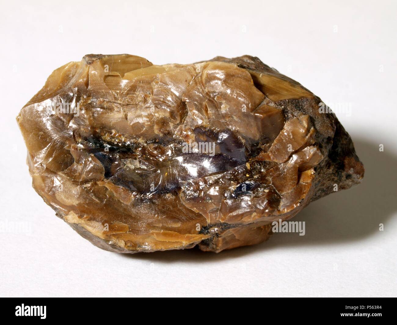 Amber study hi-res stock photography and images - Alamy