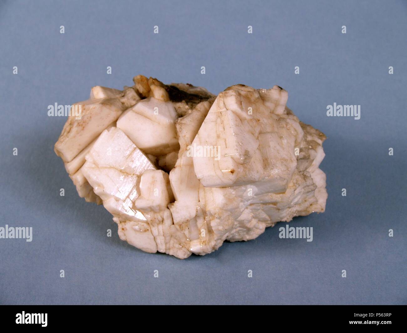 Albita High Resolution Stock Photography and Images - Alamy