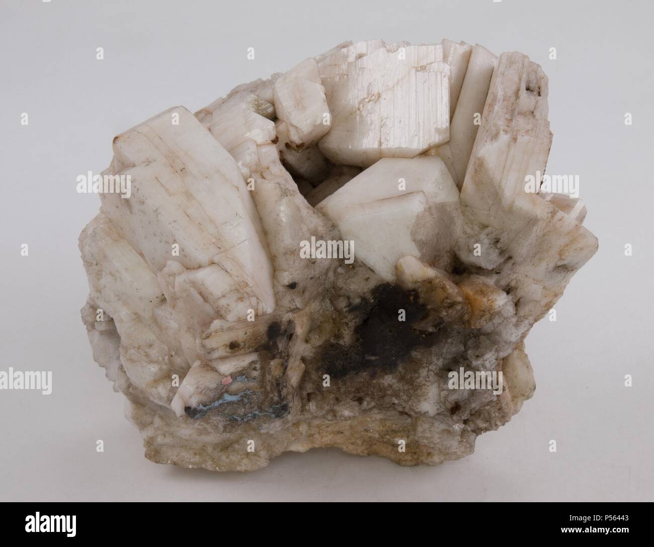 Albita High Resolution Stock Photography and Images - Alamy