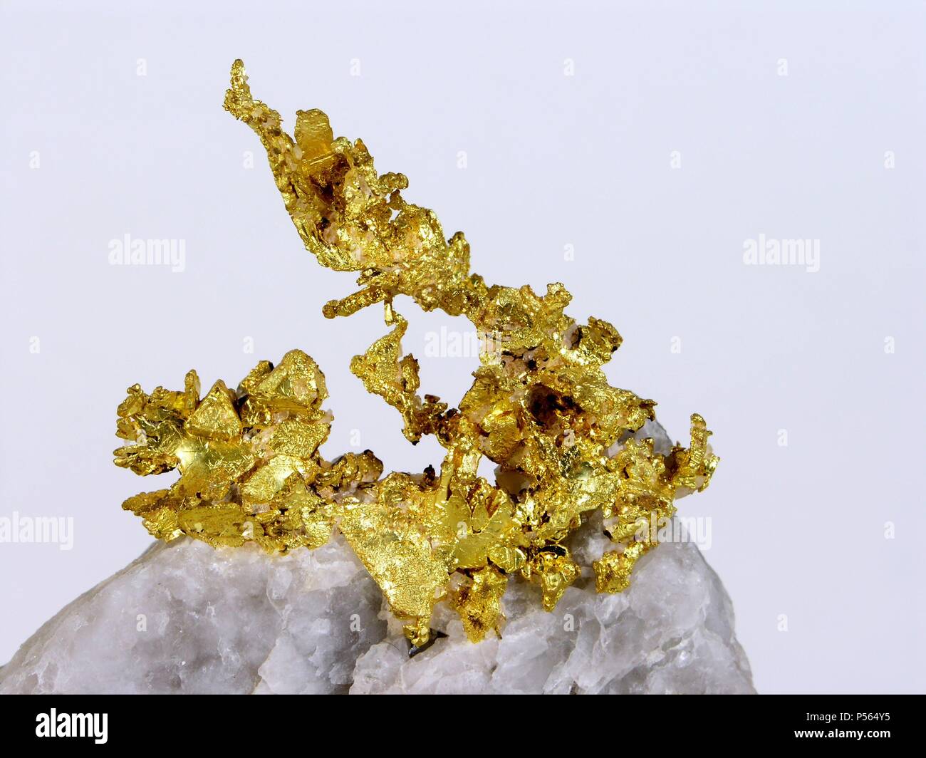 Elementos de la naturaleza hi-res stock photography and images - Alamy