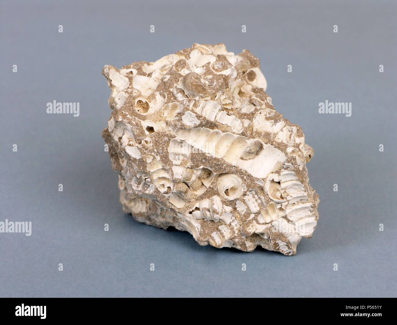 Caliza Stock Photos & Caliza Stock Images - Alamy