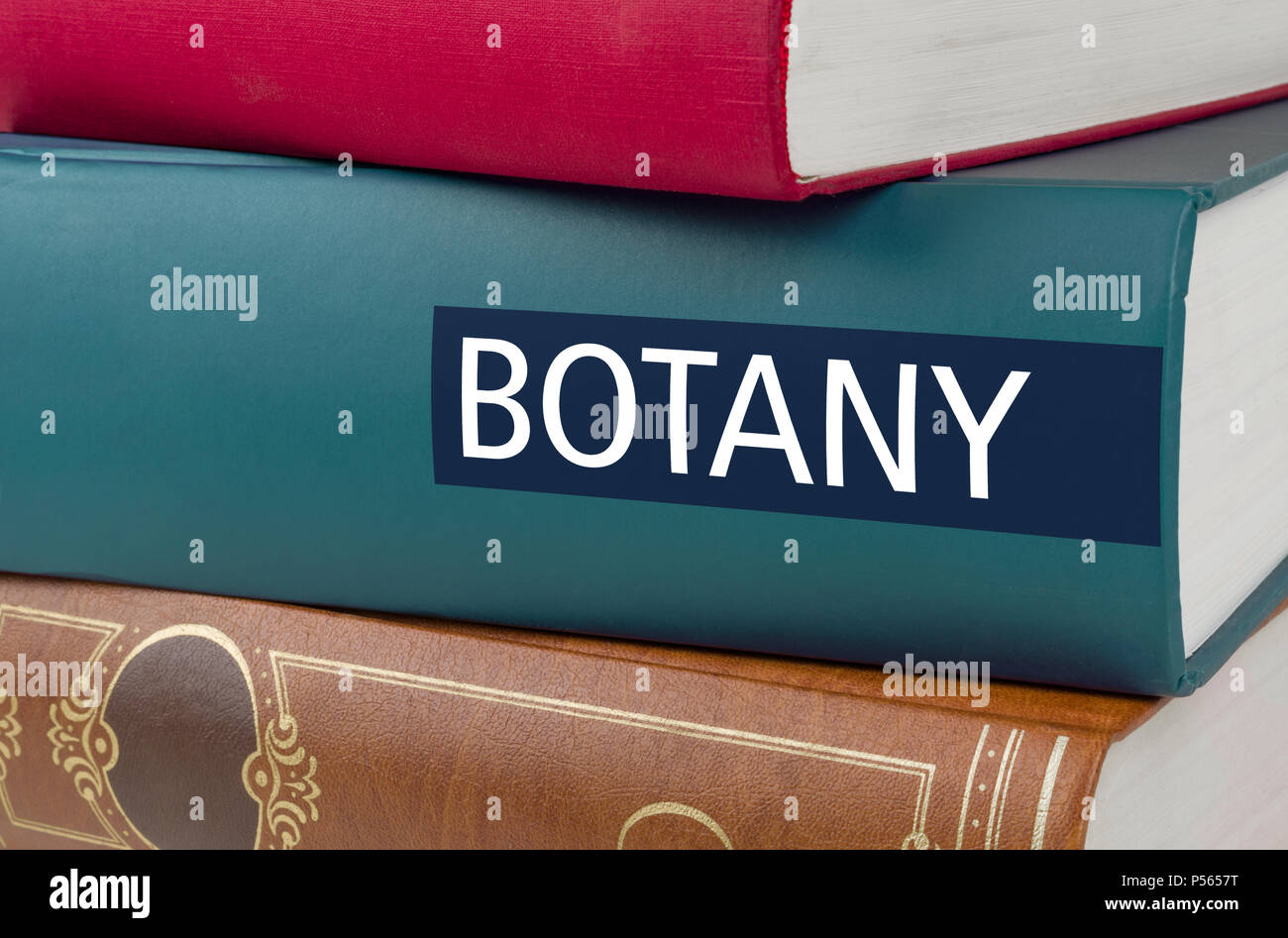 A book with the title Botany written on the spine Stock Photo - Alamy