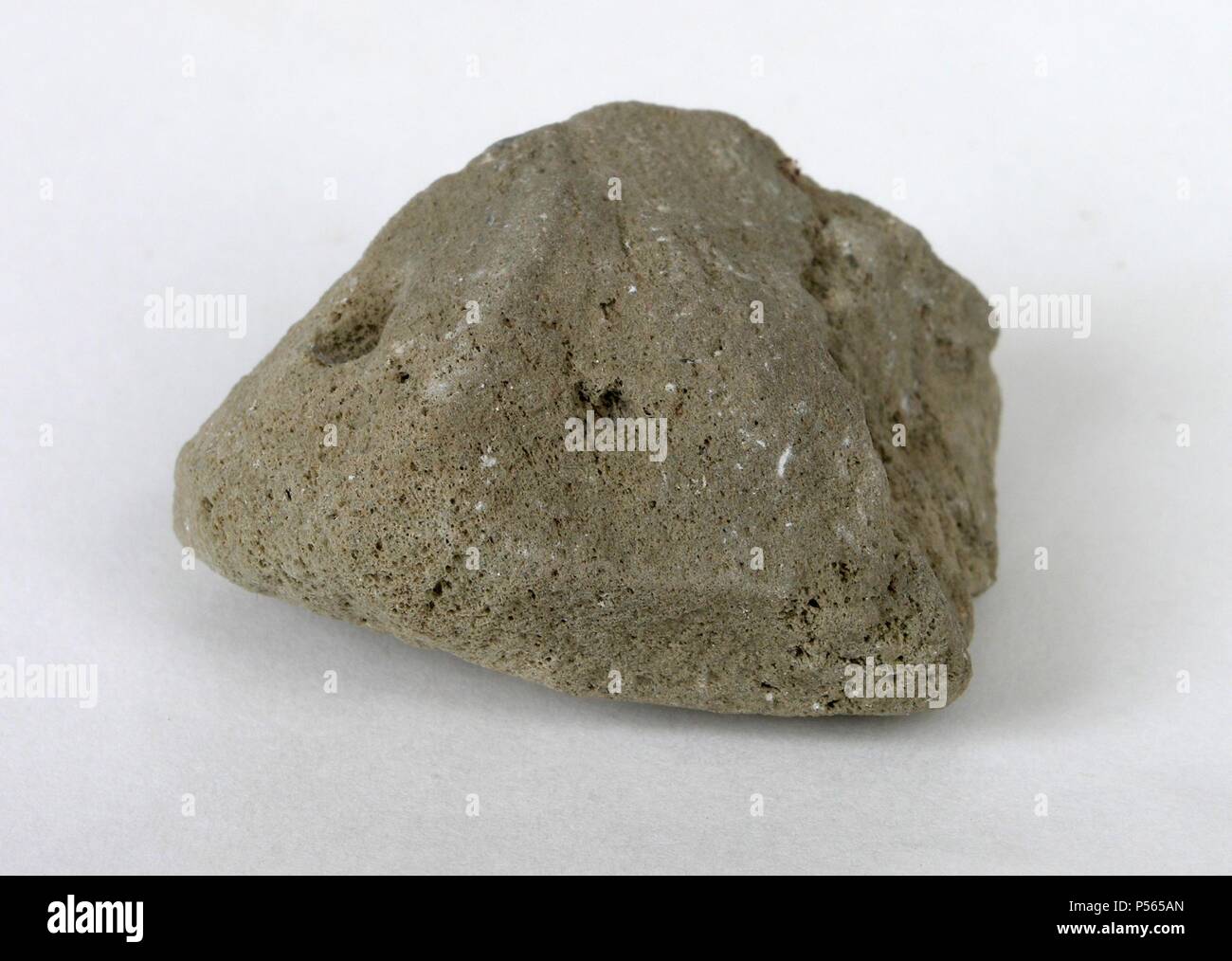 Vacuolas hi-res stock photography and images - Alamy