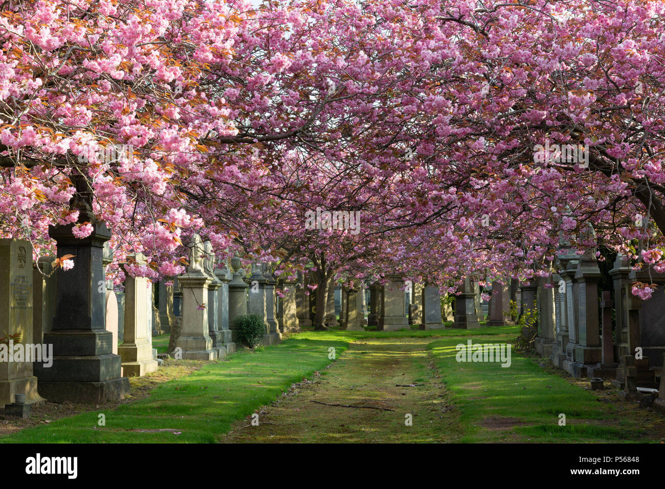 Aberdeen cemetery hi-res stock photography and images - Alamy