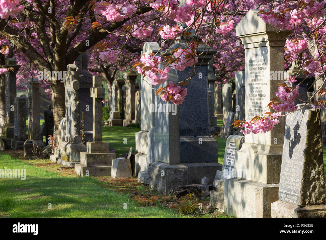 Scottish cemetery graveyard headstones hi-res stock photography and ...