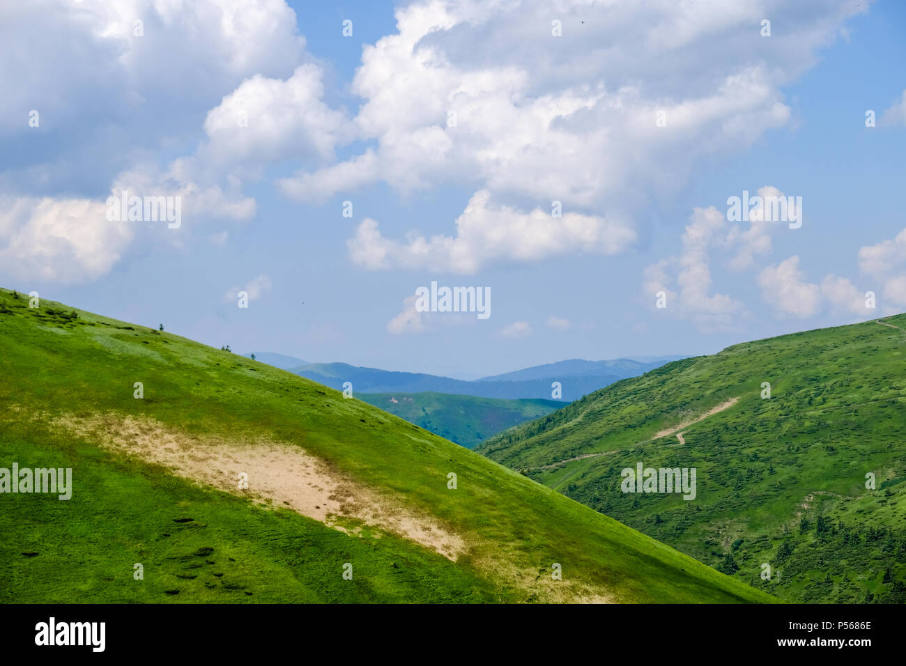 Mountain landscape in Dragobrat (Ukraine). Summer on the mountain of ...