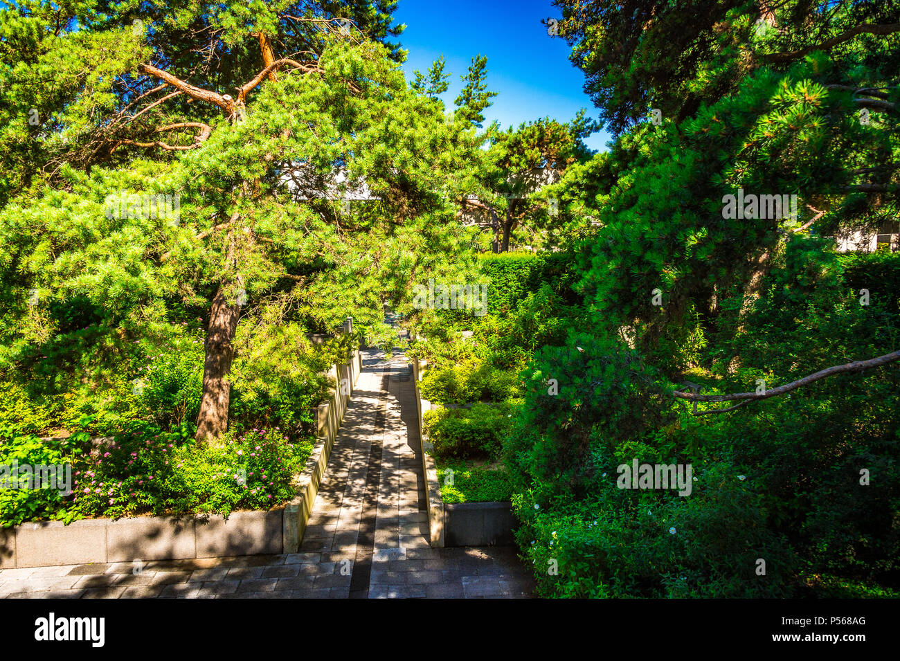 Parc Andre Citron in Paris, France Stock Photo - Alamy