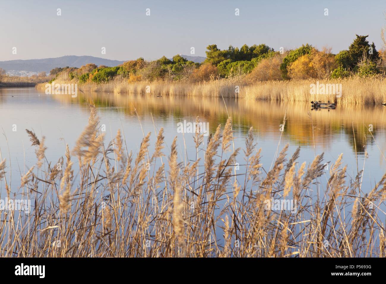 Delta Del Llobregat Natural Park High Resolution Stock Photography and ...