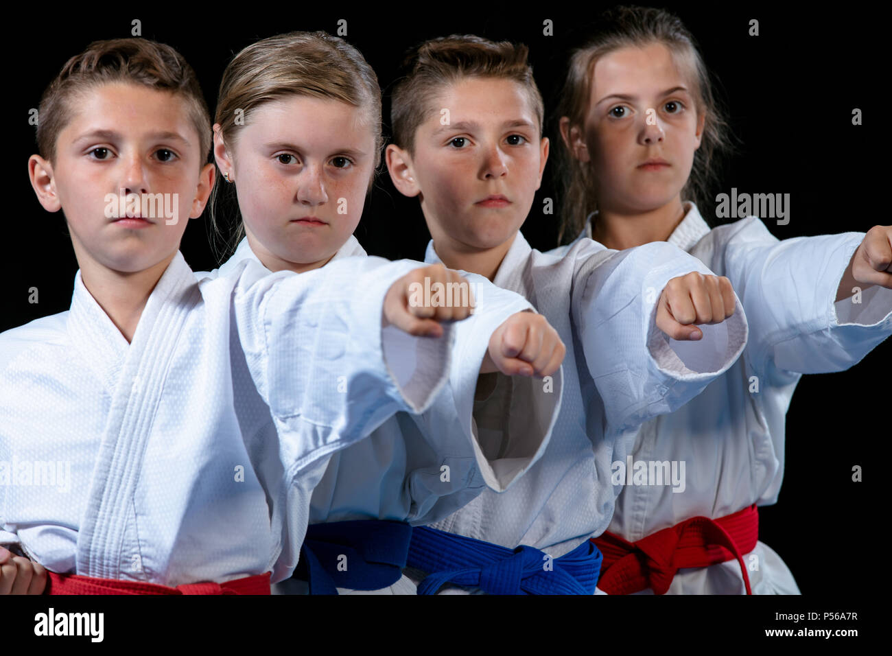 young, beautiful, successful multi ethical karate kids in karate ...