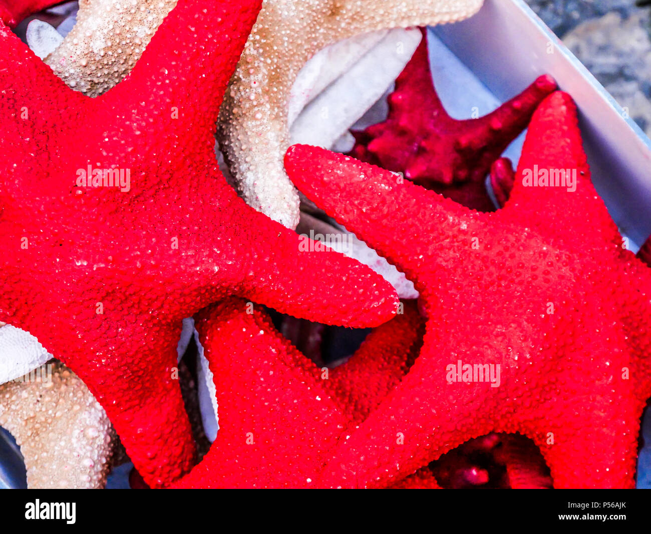 red starfish multicolor at market Stock Photo - Alamy