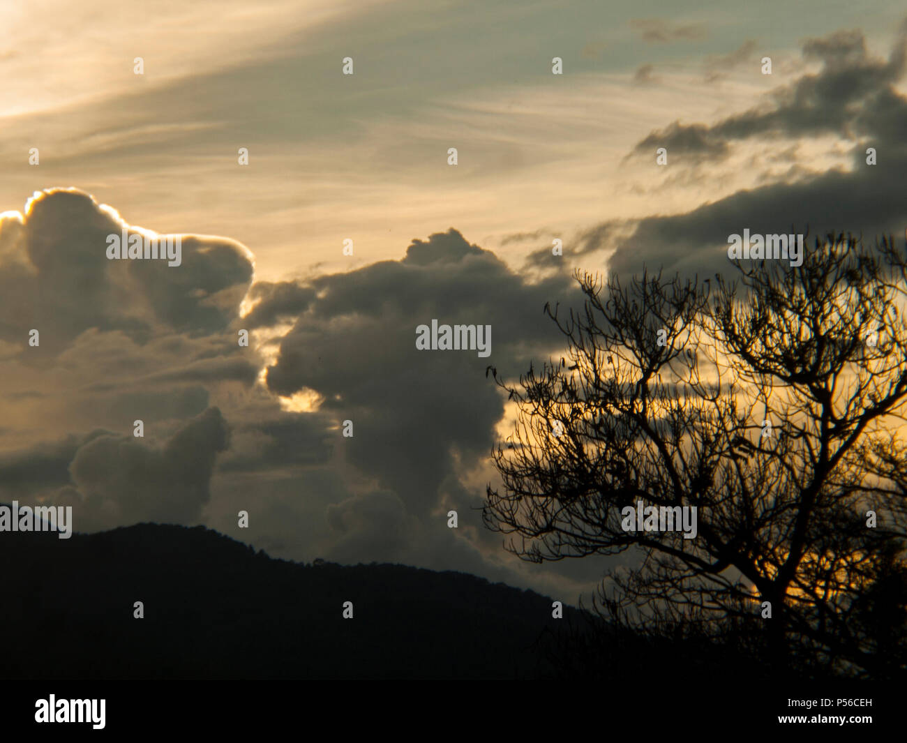 Clouds, rain, sky / The sky in the rainy season of tropical countries ...