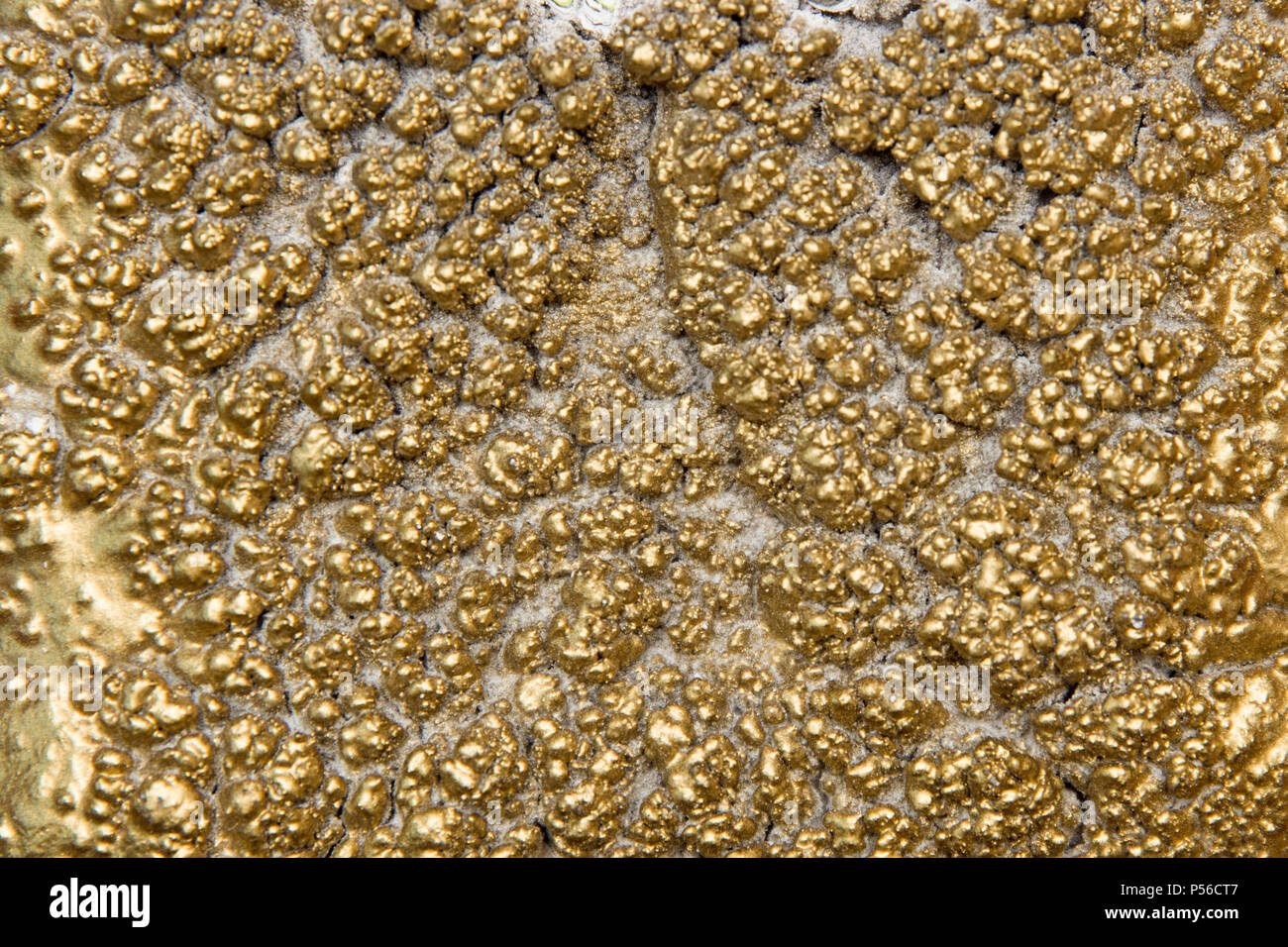 Imitate gold hi-res stock photography and images - Alamy