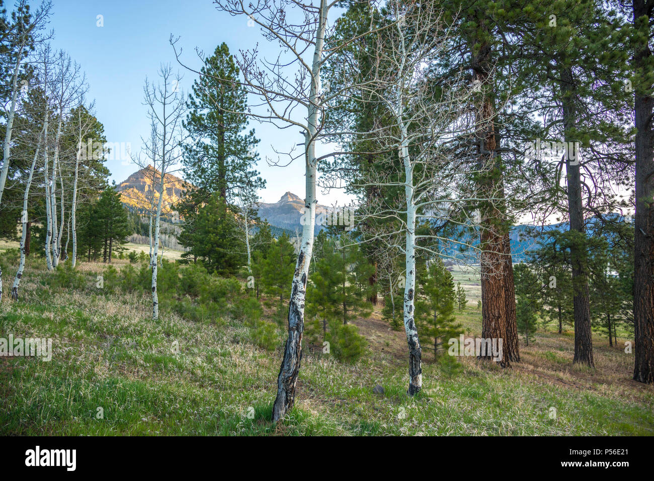 Williams Creek Reservoir, San Juan Mountains near Pagosa Springs ...