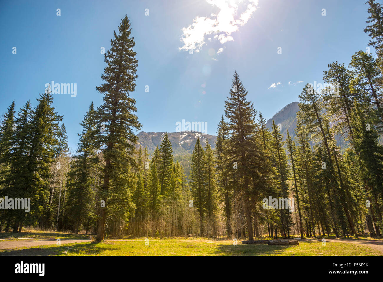 Durango west hi-res stock photography and images - Alamy