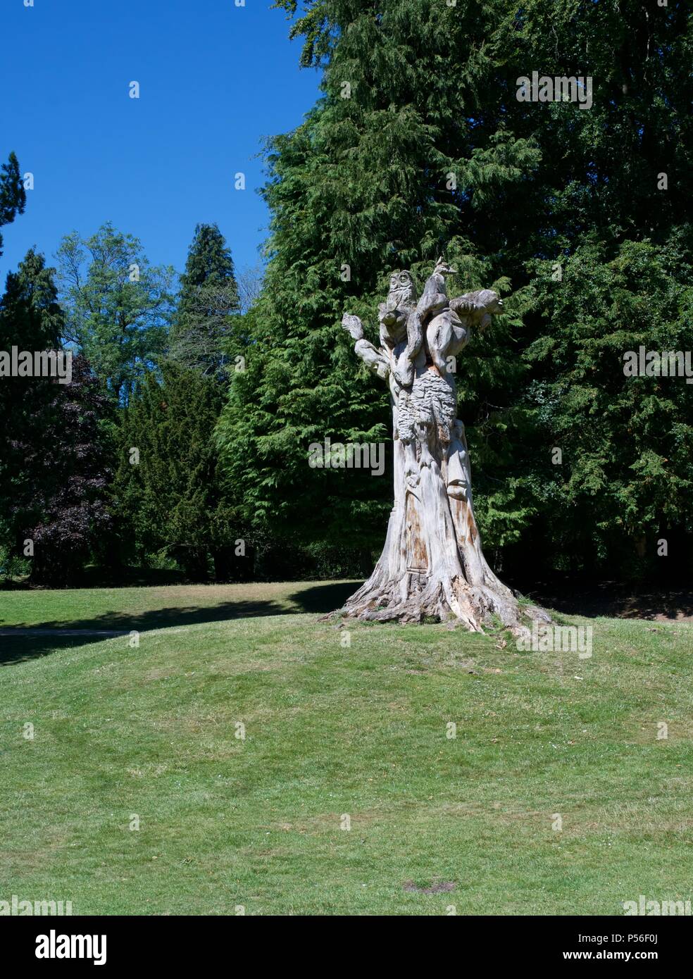 Tree sculpture in Pavilion Gardens in Buxton, Derbyshire Stock Photo ...