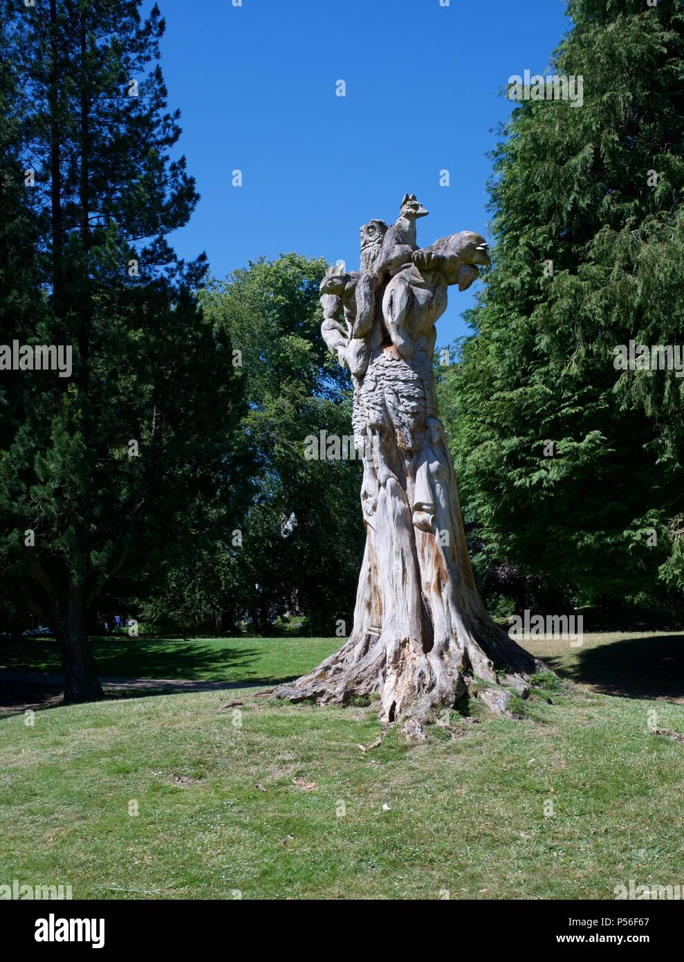Tree sculpture in Pavilion Gardens in Buxton, Derbyshire Stock Photo ...