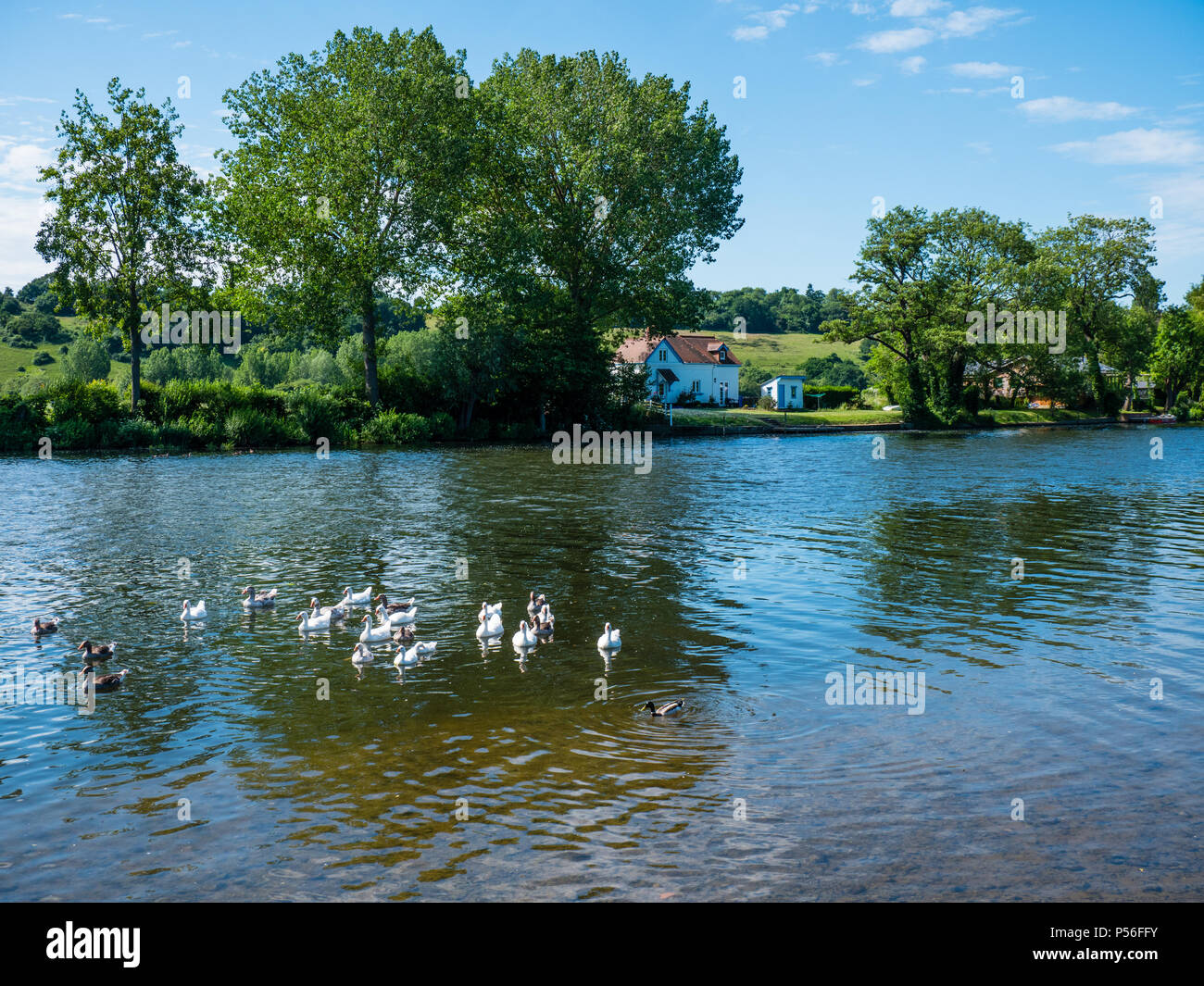 Idyllic River Thames Summer Landscape, nr Bourne End, Buckinghamshire ...