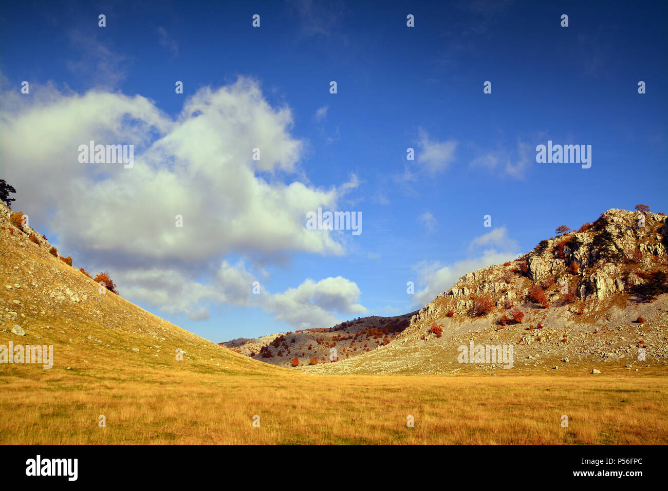 beautiful landscape in the carpathians Stock Photo - Alamy