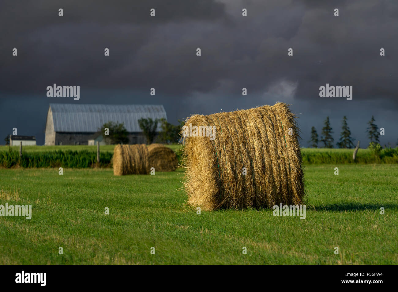 Circle crop canada hi-res stock photography and images - Alamy