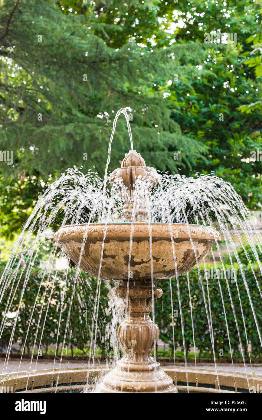 Classic fountain garden decoration with green trees in background Stock ...