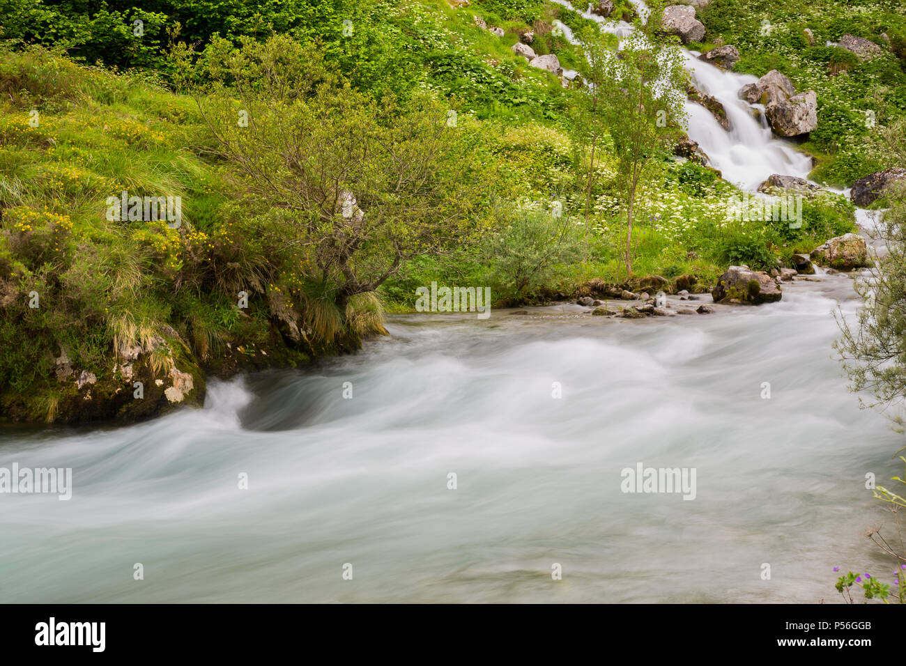 Waterfall in the Cares River located in the Picos de Europa National ...
