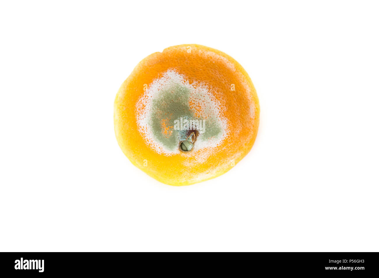 Rotten orange hi-res stock photography and images - Alamy