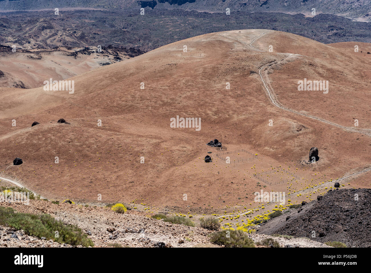 Canary Islands, Tenerife, Teide National park, Volcanic Eggs scattered ...