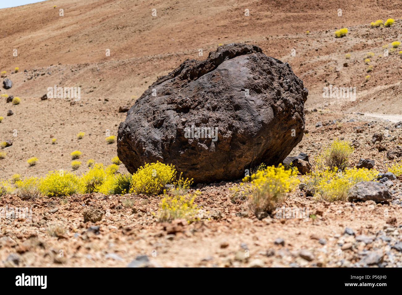 Canary Islands, Tenerife, Teide National park, Volcanic Eggs scattered ...