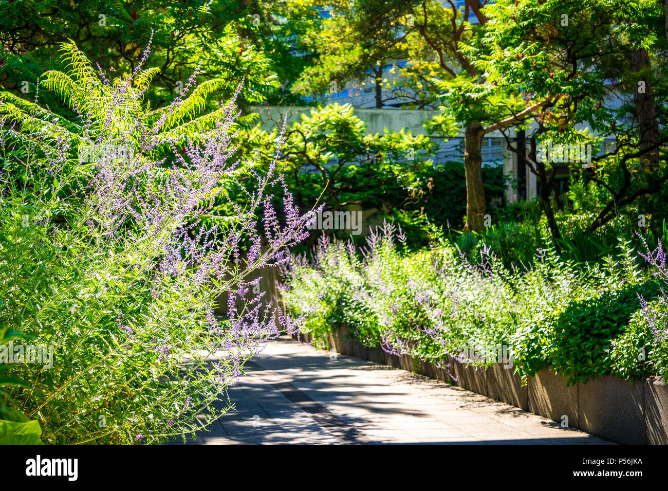 Parc Andre Citron in Paris, France Stock Photo - Alamy