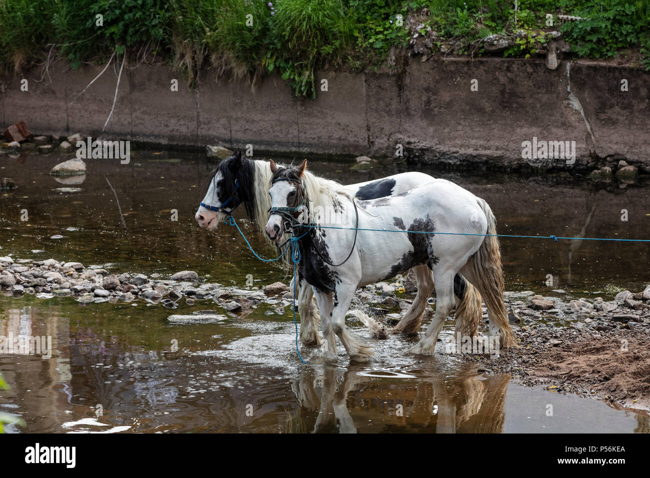 Appleby river hi-res stock photography and images - Alamy