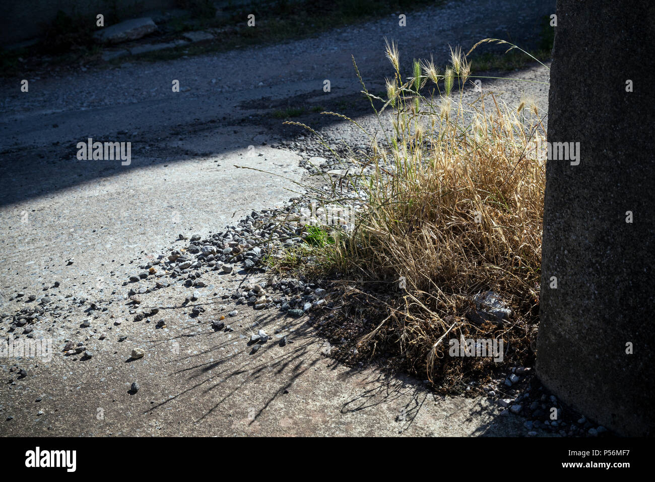 Check pavement hi-res stock photography and images - Alamy