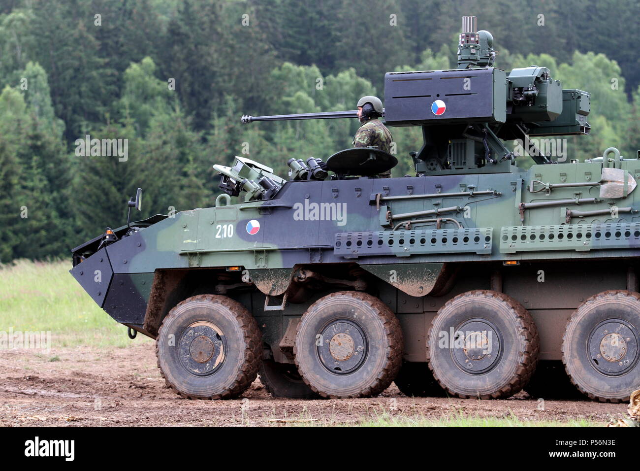 Pandur hi-res stock photography and images - Alamy