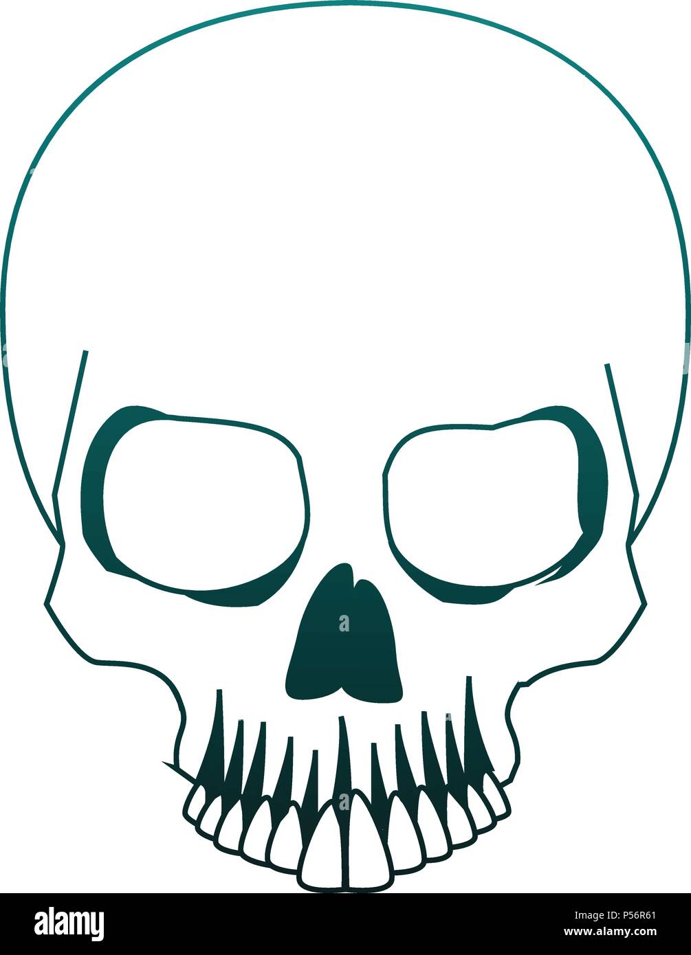 Human skull drawing in blue lines Stock Vector Image & Art - Alamy