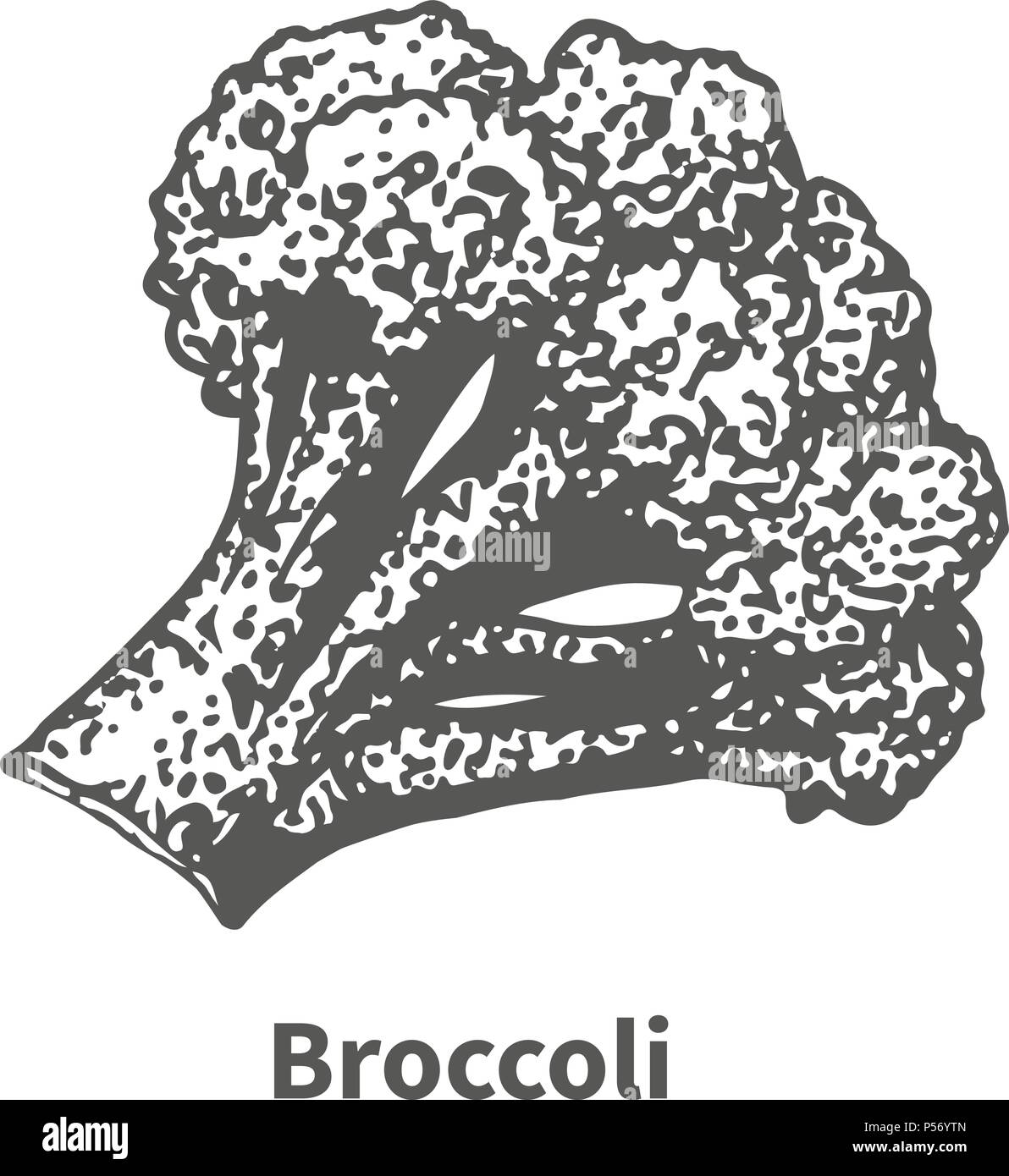 Broccoli hand drawing sketch Stock Vector Images - Alamy