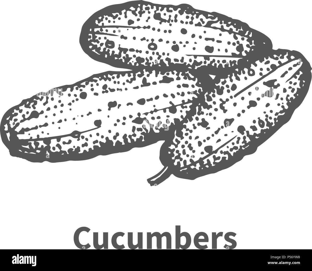Vector illustration hand-drawn cucumbers Stock Vector Image & Art - Alamy