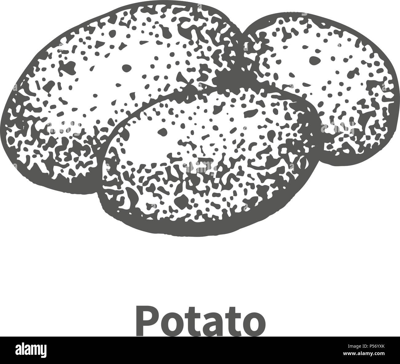 Vector illustration hand-drawn potato Stock Vector Image & Art - Alamy