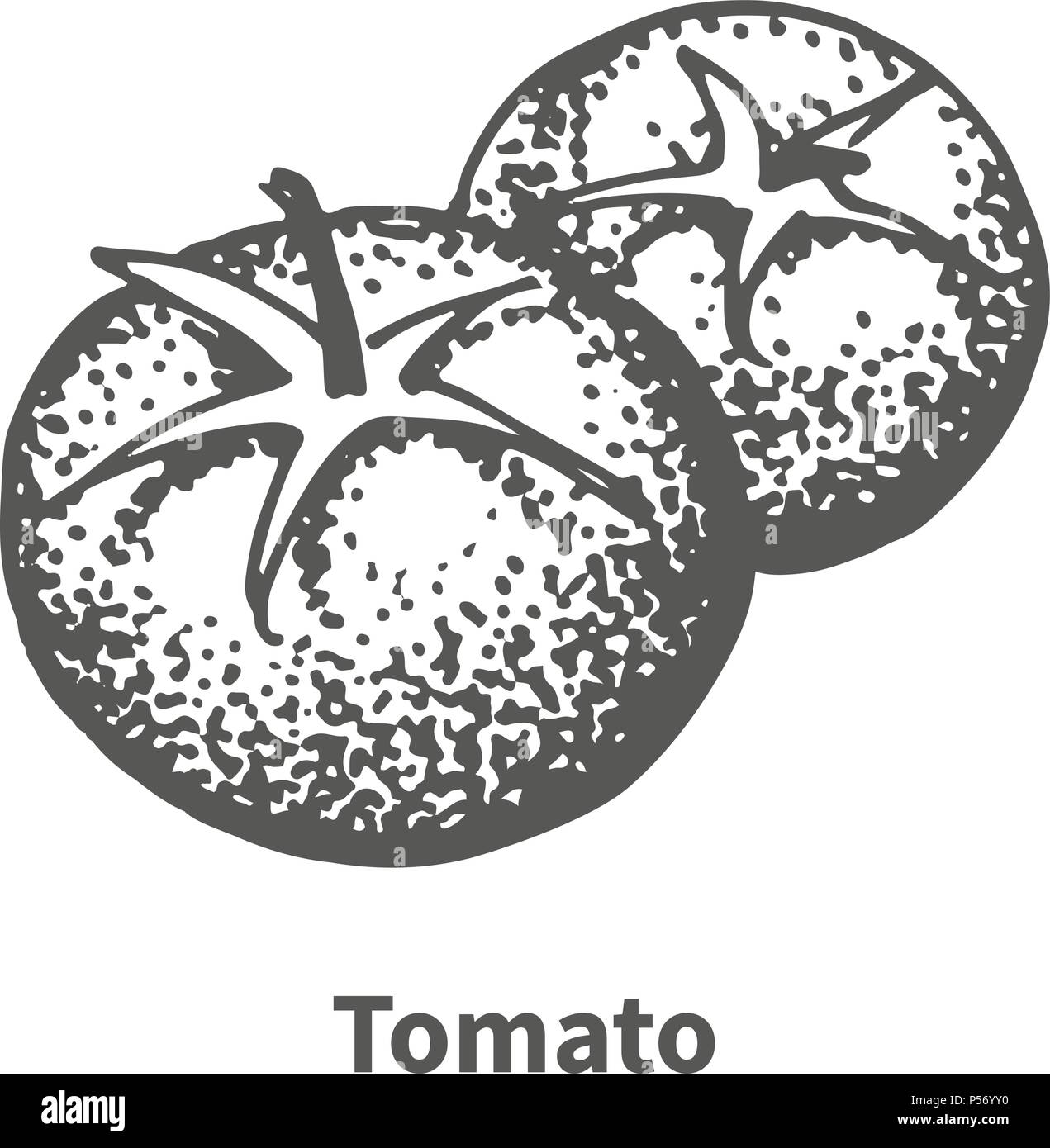 Vector illustration hand-drawn tomato Stock Vector Image & Art - Alamy