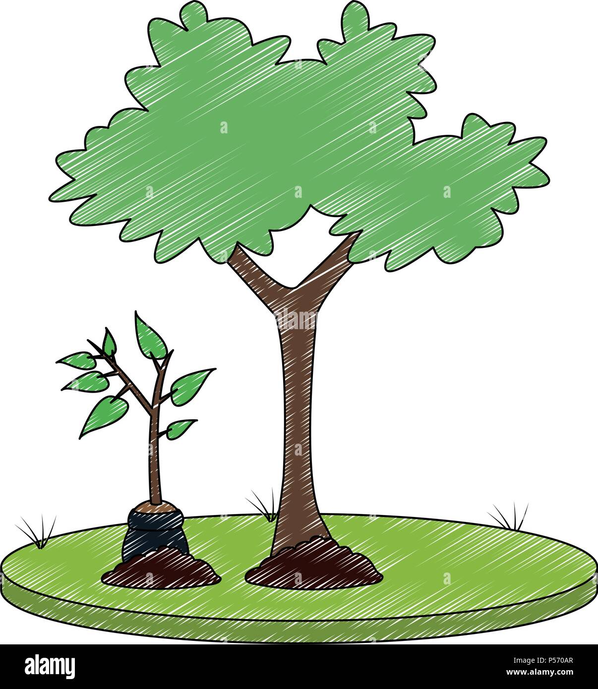 Tree nature plant scribble Stock Vector Image & Art - Alamy