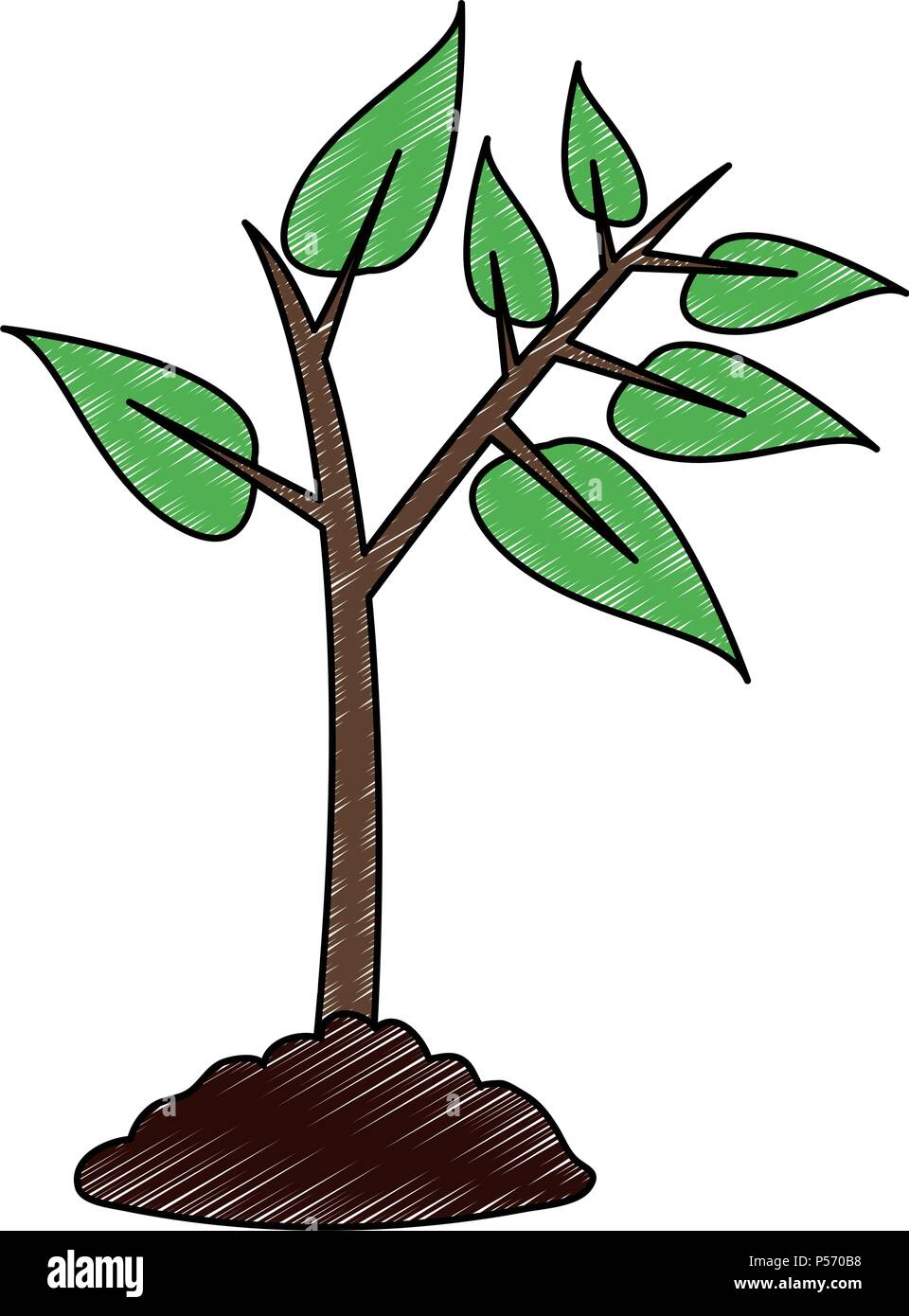 Plant in ground scribble Stock Vector Image & Art - Alamy