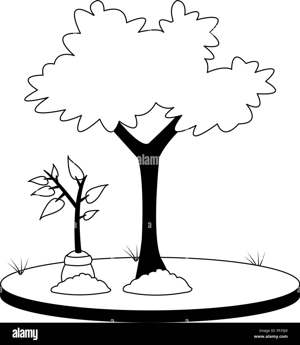 Tree nature plant in black and white Stock Vector Image & Art - Alamy