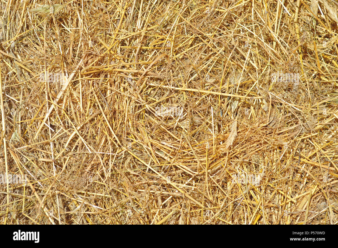 Straw background texture hi-res stock photography and images - Alamy