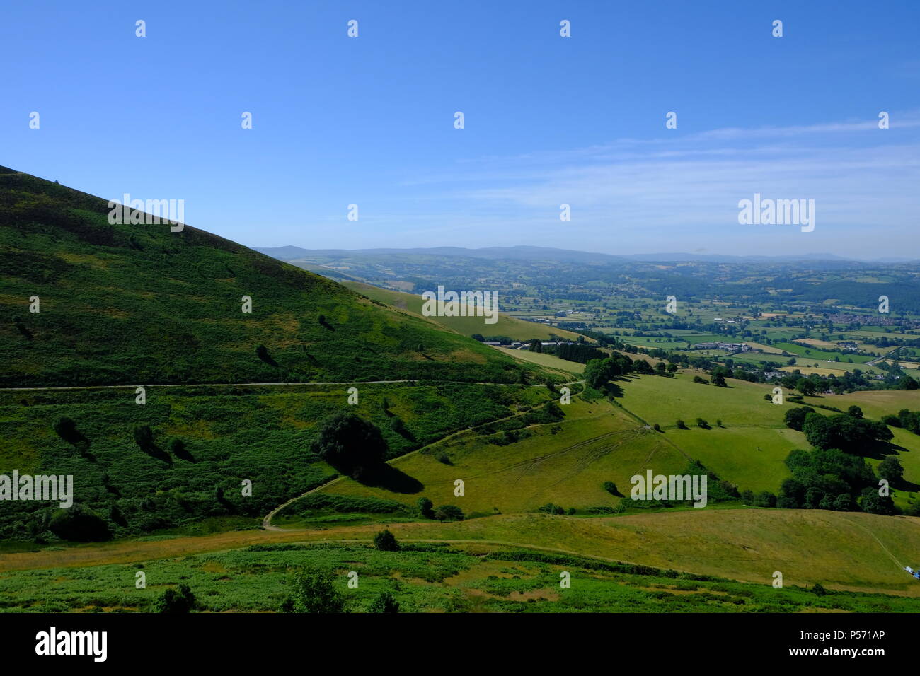 Welsh national day hi-res stock photography and images - Alamy