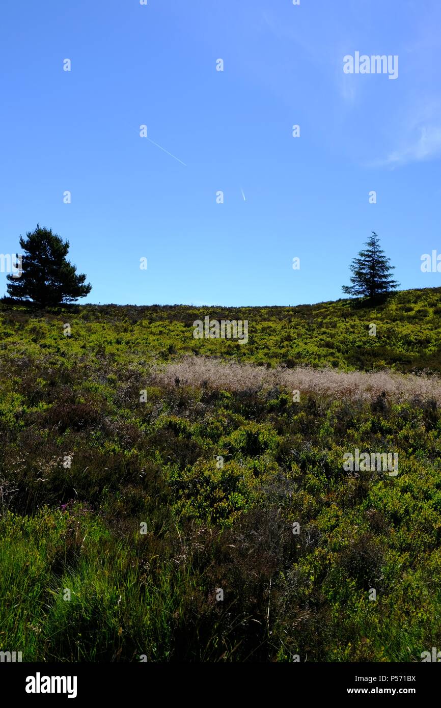 Welsh landscape hi-res stock photography and images - Alamy