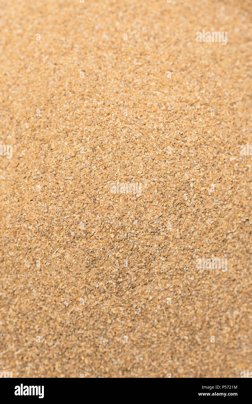 Brown background of ground pepper. Organic Dried coriander seeds (Coriandrum sativum) closeup ...